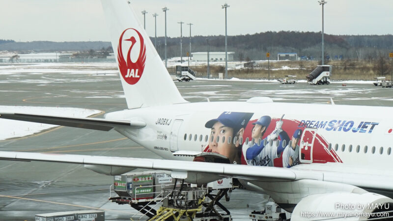 新千歳空港で大谷ジェット！「DREAM SHO JET」 | 北の暮らし ～札幌・宮の森から～